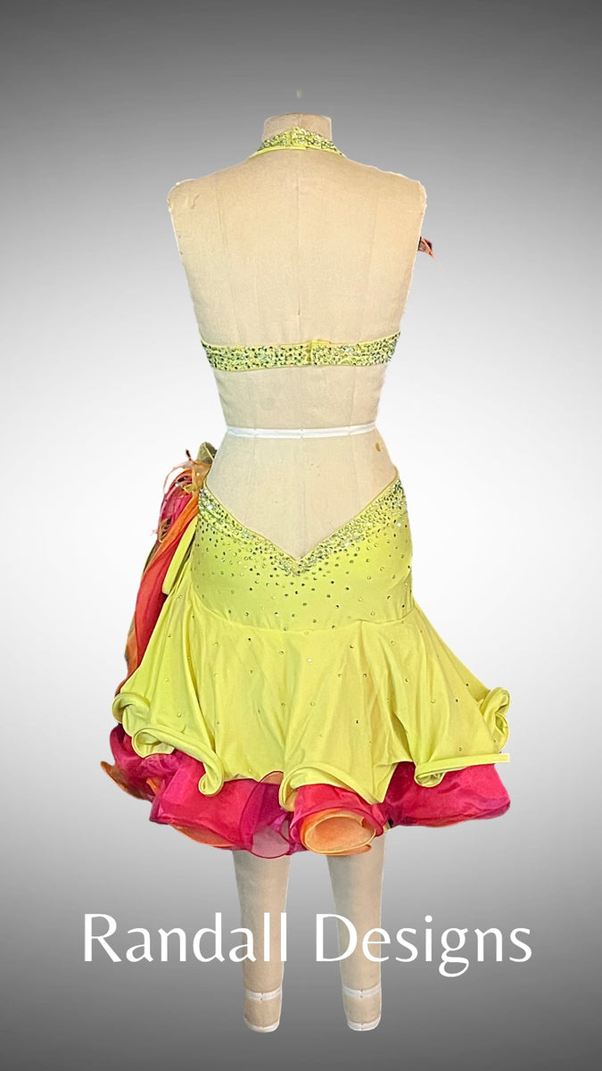 Black Rhinestone Top and Multi Colored Godets – Randall Designs